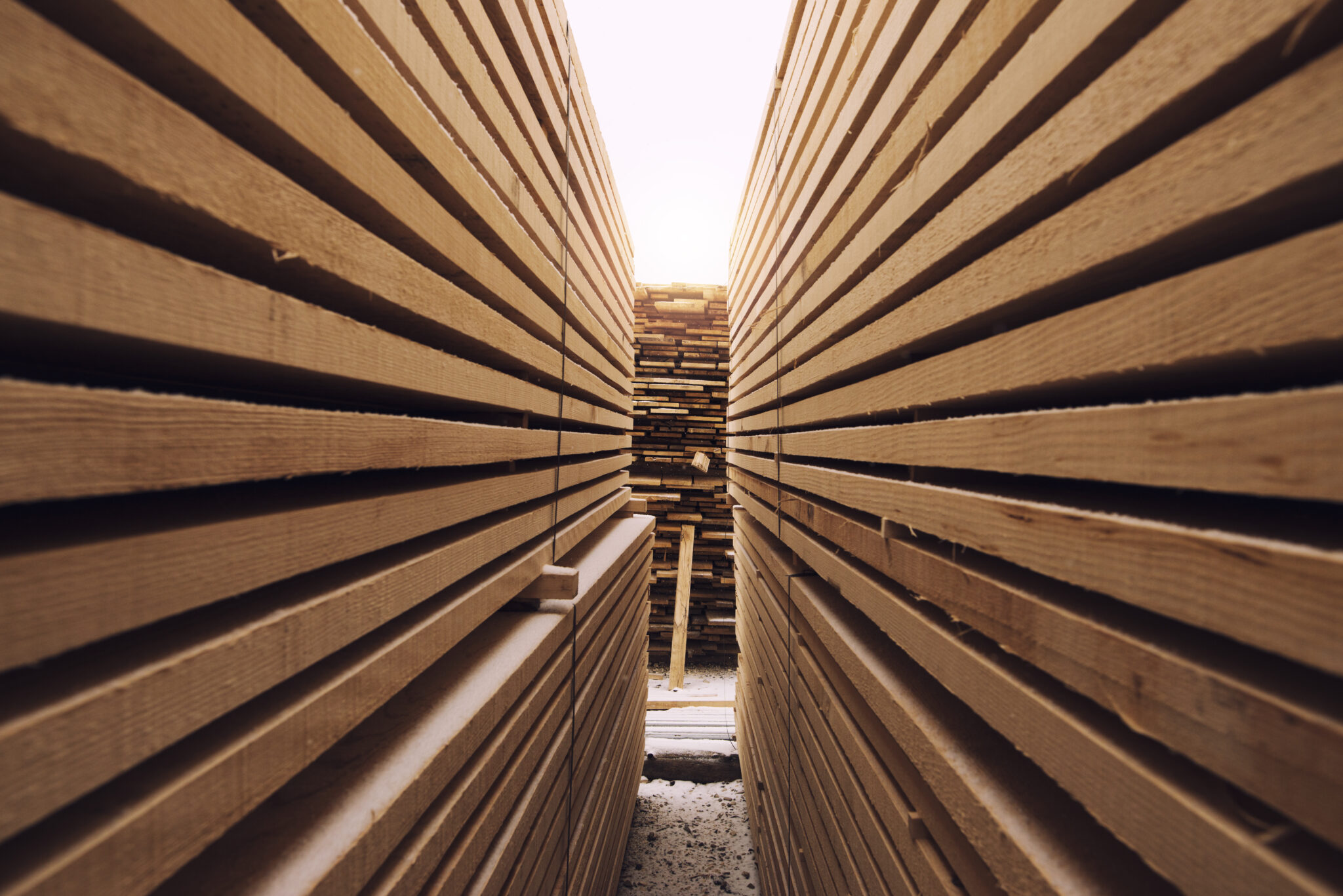 MDF Grades Explained – MR, FR, Plain & Pre-Laminated – Bahsaq Timber